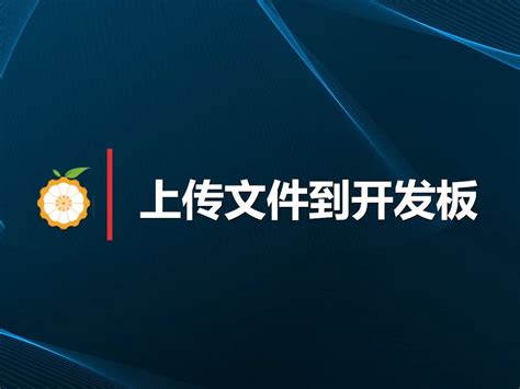 【orangepi 系列教程】上传文件到开发板 orangepi香橙派 orangepi香橙派 哔哩哔哩视频