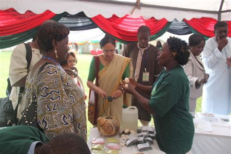 Sex Determination In Eggs A Kenyan Farmer Explains Prolinnova