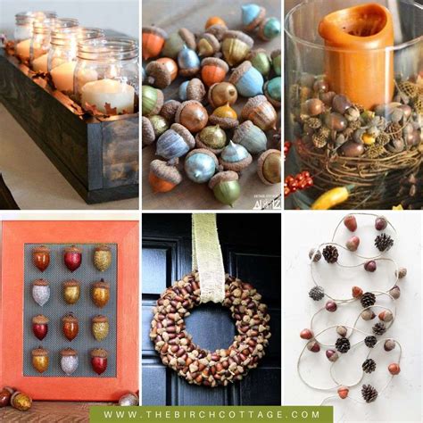 How To Prepare Acorns For Use With Crafts The Birch Cottage