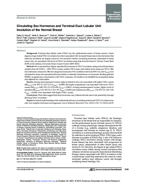 Pdf Circulating Sex Hormones And Terminal Duct Lobular Unit
