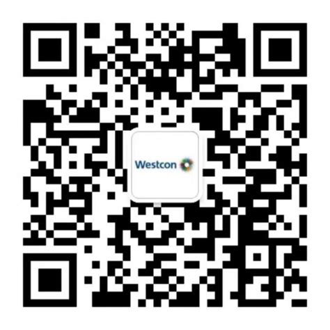 Westcon 卫实康科贸 上海 有限公司