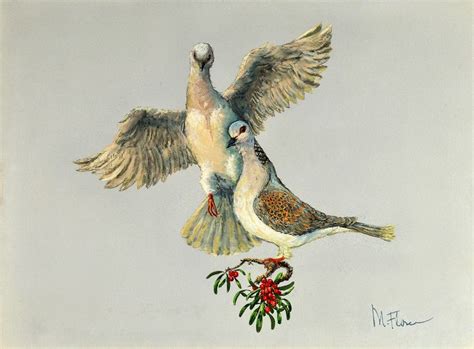 Turtle Doves Drawings