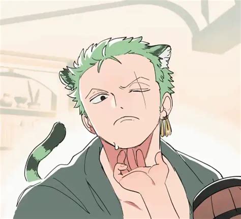 Roronoa Zoro One Piece Drawn By Ns1123 Danbooru