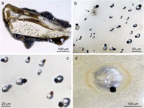 Fluid Spinel Inclusions In Magmatic Olivine The 1941 Scoria Cone Download Scientific Diagram