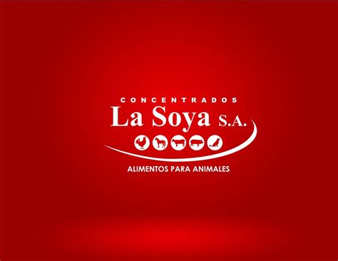 Concentrados ¿sabes Cuál Es El Alimento Ideal Para Tu Ganado