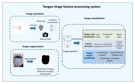 Objectification Of Tongue Diagnosis In Traditional Medicine Data