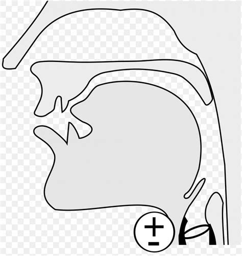 Voiced Dental Fricative Fricative Consonant Voiceless Dental Fricative 748 Phonics Reading