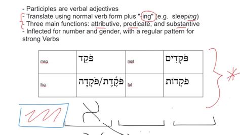 Hebrew Qal Active Participles Youtube