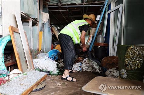 [르포] 어디서부터 손을 대야 할지…폭우 피해에 복구 막막 나무뉴스