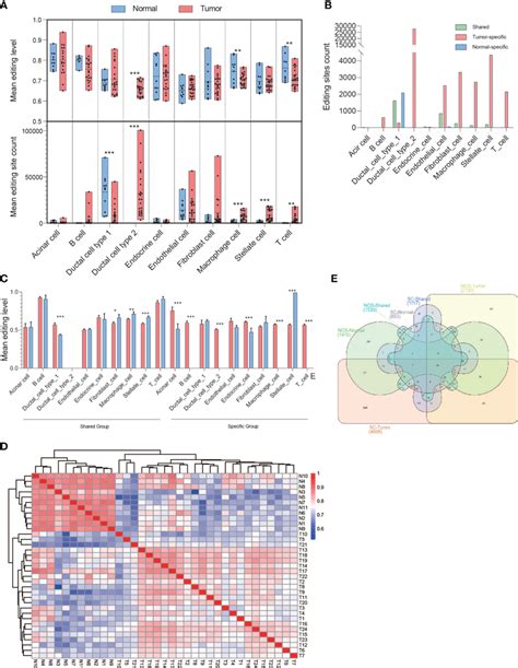 Biased A To I Dres In Various Pdac Cell Types Based On Single Cell