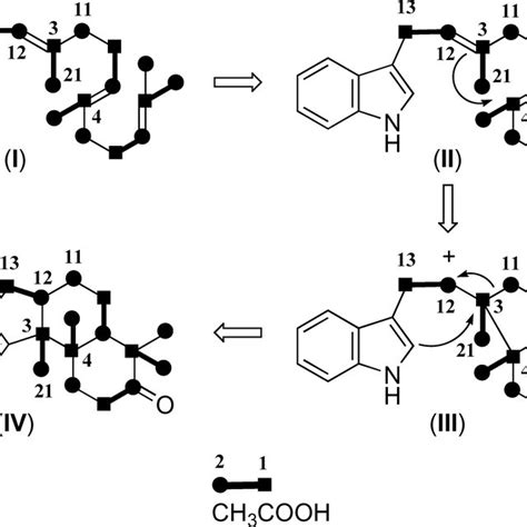 Tryptophan Biosynthesis And Biosynthetic Pathway Producing Penitrem A Download Scientific