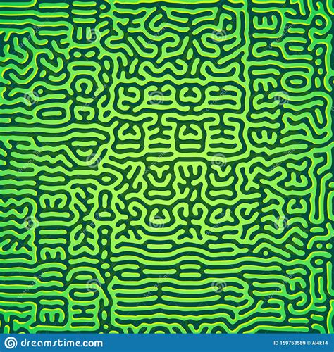 Turing Morphogenesis Reaction Diffusion Pattern Stock Vector