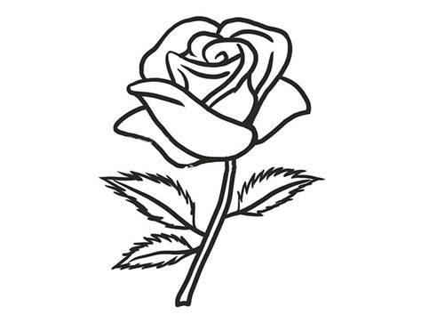 卡通玫瑰花简单 简笔画 卡通画 大山谷图库