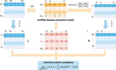 Frontiers Recent Advances In Machine Learning Methods For Predicting Lncrna And Disease