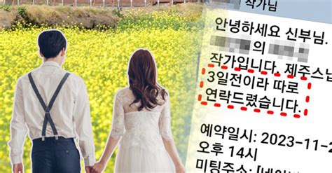 보배드림 예비 신부 제주도 웨딩스냅 작가 불륜 충격적인 사건 내용 지식의정석 New