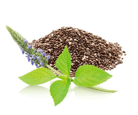 Conventional Chia Seed Oil ‣ Parodi Nutra