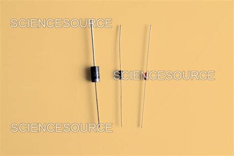 Rectifier And Zener Diodes Stock Image Science Source Images