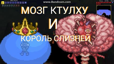МОЗГ КТУЛХУ И КОРОЛЬ СЛИЗНЕЙ [Прохождение Террарии за стрелка ЭКСПЕРТ ] 6 Youtube