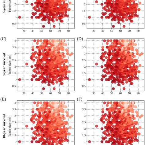 Heat Maps For Tumor Size X Axis And Age Y Axis Corresponding To