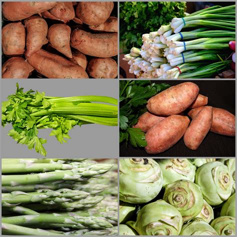 Plants Used As Food — Lesson Science State Board Class 6