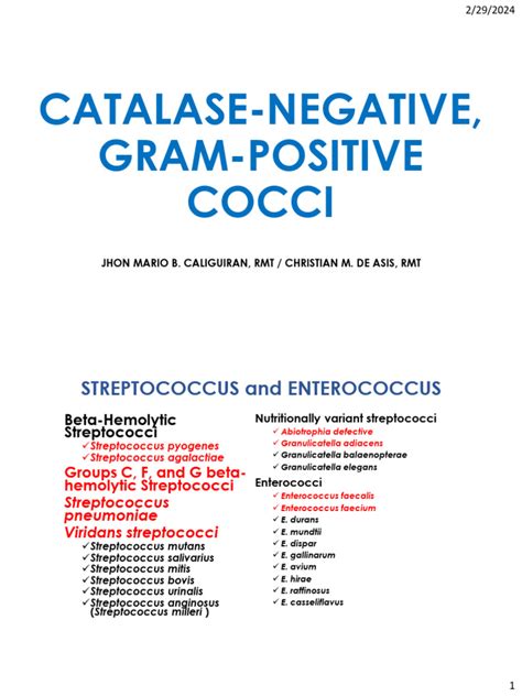 Streptococci Pdf Streptococcus Diseases And Disorders