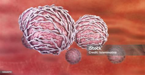 Limfosit Ilustrasi 3d Tampilan Closeup Selt Atau Sel B Foto Stok