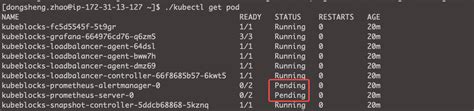 Bug Install Kubeblocks Hang Because Prometheus Pods Are Pending · Issue 1515 · Apecloud