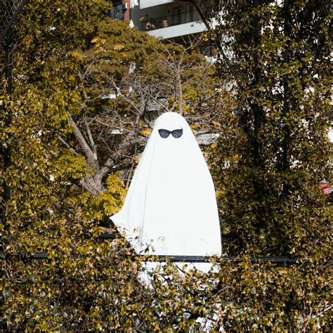 Person Hiding Tree Photos Download The Best Free Person Hiding Tree