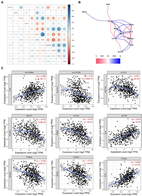 Correlation Analysis Among The Hub Genes A Correlation Diagram Of Download Scientific