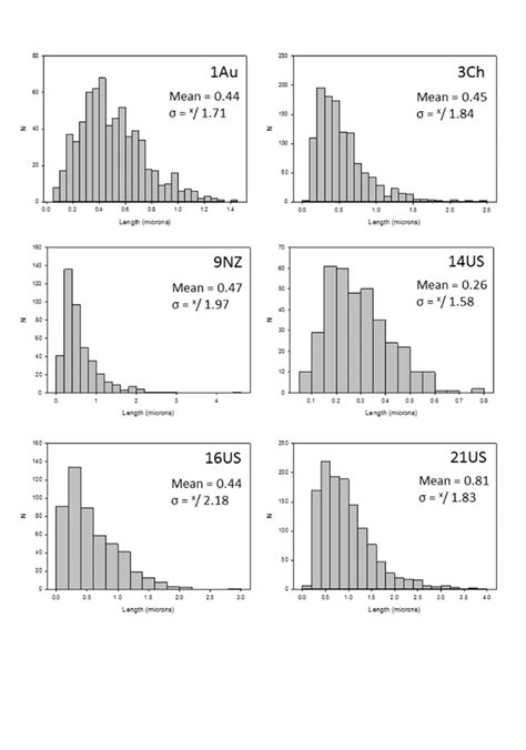 Examples Of Particle Size Distribution Histograms With Respect To Tube