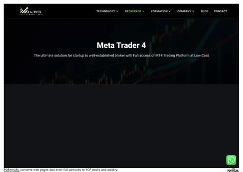 Ppt Meta Trader 4 Mt4 Grey Label Powerpoint Presentation Free