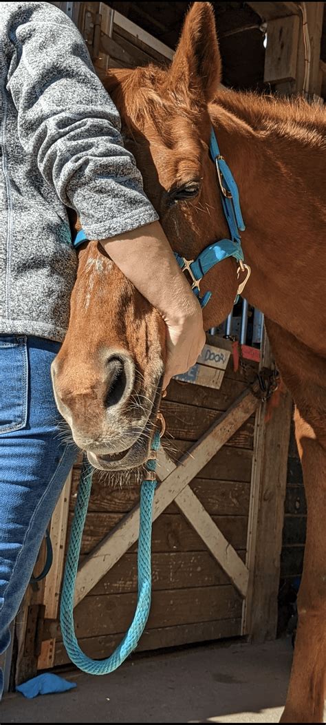 My Mare Decided To Save Me From Buying Things I Didnt Need On Cyber