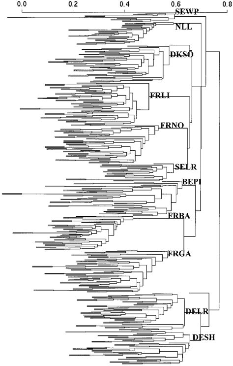 Hierarchical Clustering Based On Genetic Distances Between Individuals Download Scientific