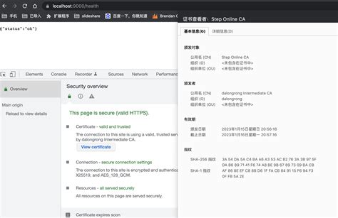 step ca 测试试用 荣锋亮 博客园