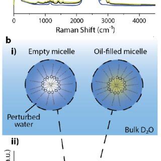 Raman Multivariate Curve Resolution MCR Provides Insight Regarding Download Scientific