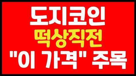 도지코인 조정 끝 남은건 상승뿐 Youtube