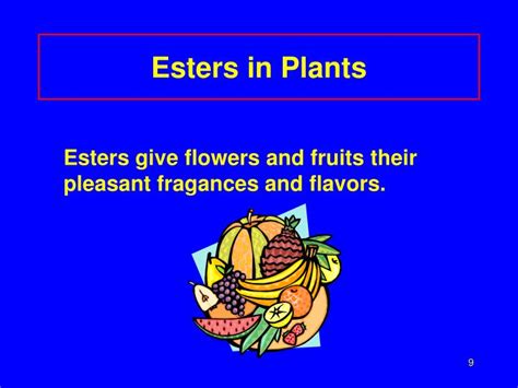 Ppt Carboxylic Acids Esters Amines And Amides Powerpoint