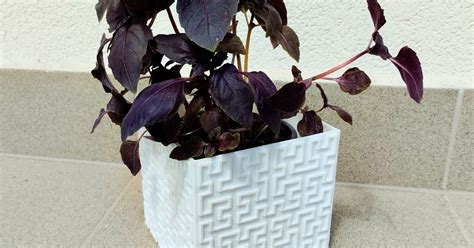 Hilbert Curve Cube Planter By Pspf Download Free Stl Model
