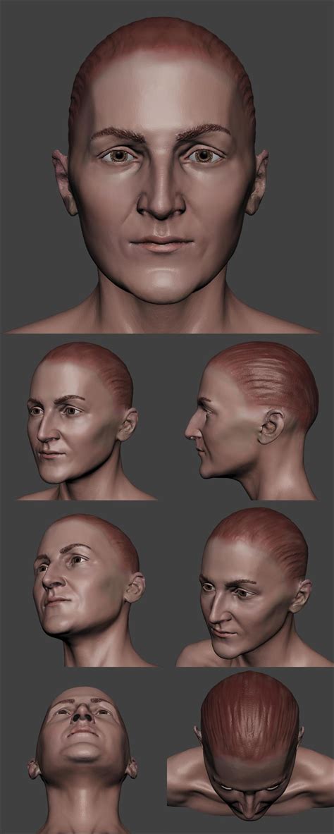 Human Proportions Nudity Page 11 Works In Progress Blender Artists Community