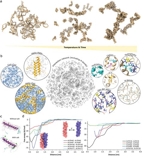 Accelerated Engineering Of Elp‐based Materials Through Hybrid Biomimetic‐de Novo Predictive