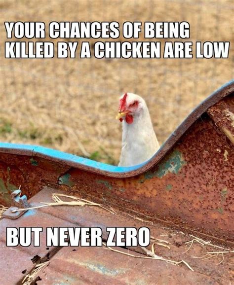 Remember Who You Are Chicken Meme