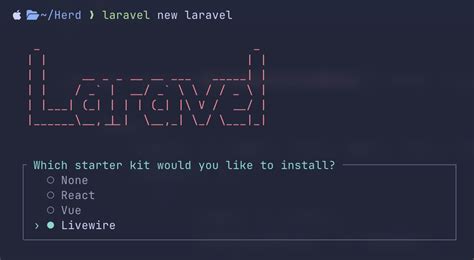 09 Starter Kit Install And Code Analysis Laravel Daily