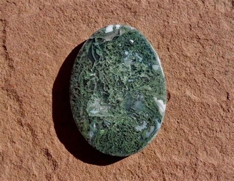 11 Dendrites Minerals That Grow Like Trees Ideas Minerals Dendritic Agate Agate