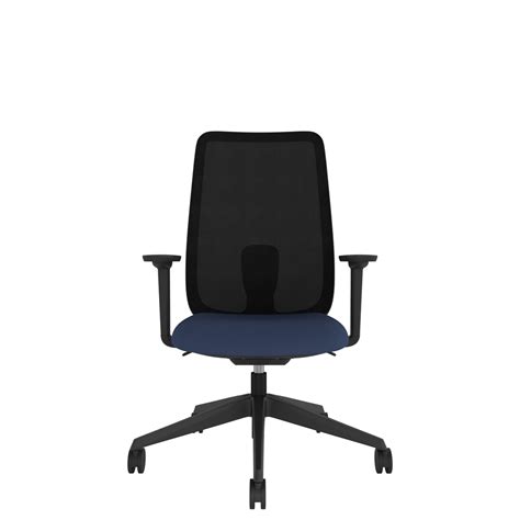 Deluxe Task Echo Mdk Office Seating
