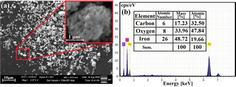 Surface Morphology Determination And Elemental Analysis By Sem Imaging