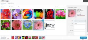 How To Build Media Grid With Visual Composer WPBakery Visualmodo