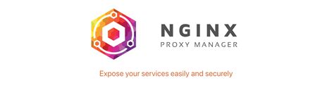 Expose Web Services On Your Home Network With Nginx Proxy Manager