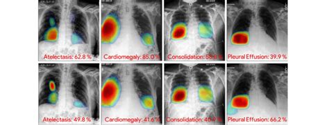 The Saliency Relevance Evaluation Of A Commercially Available Ai Download Scientific Diagram