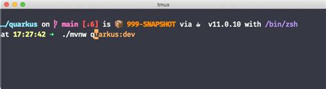Which Shell To Use Bash Zsh Fish Something Else Emmanuel Bernard