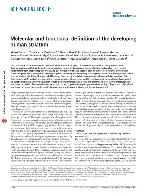 Pdf Molecular And Functional Definition Of The Developing Human Striatum